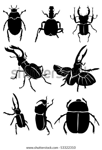Vector Illustration Black Beetles On White Stock Vector (Royalty Free ...