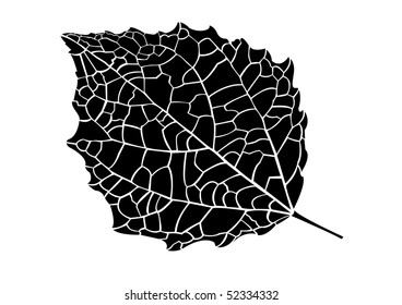 Vector Illustration Black Leaf Stock Vector (Royalty Free) 52334332 ...