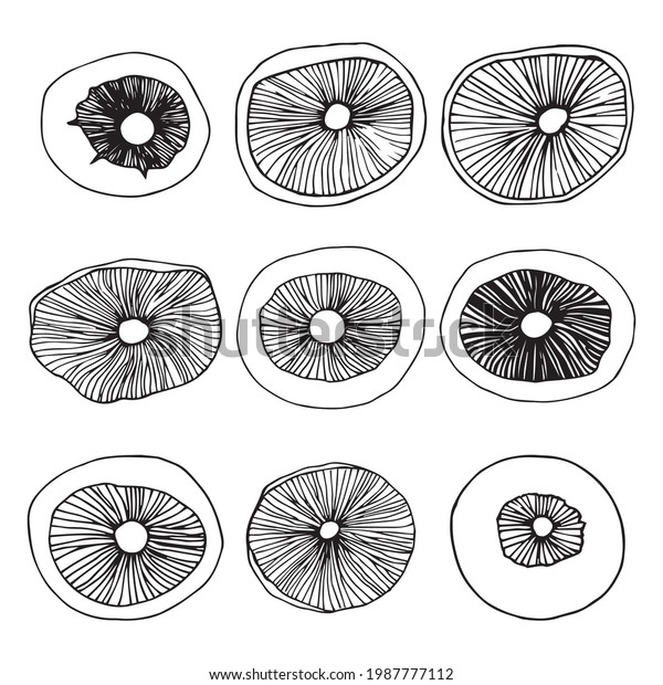 Vector Illustration Black Outline Sketch Doodle Stock Vector (Royalty ...