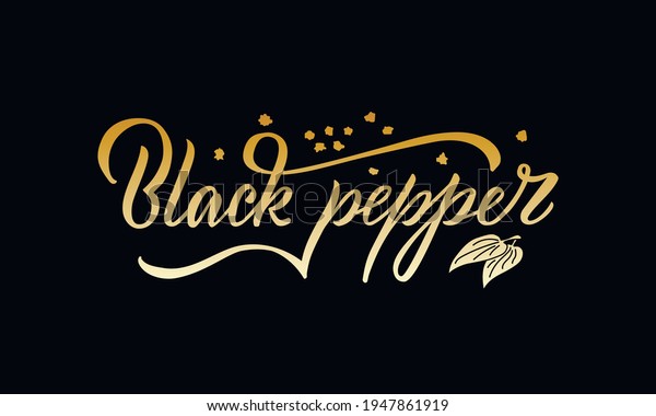 Vector Illustration Black Pepper Lettering Packages Stock Vector ...