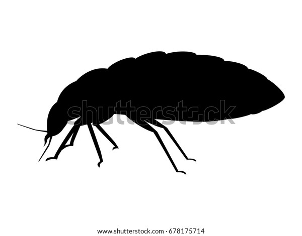 Vector Illustration Black Silhouette Bedbug Isolated Stock Vector ...