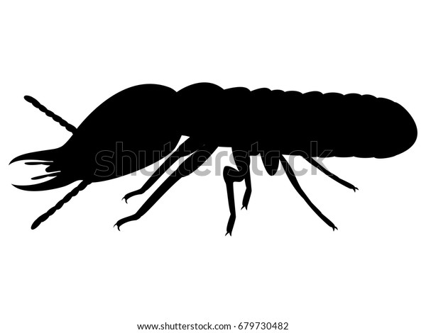 Vector Illustration Black Silhouette Termite Isolated Stock Vector ...