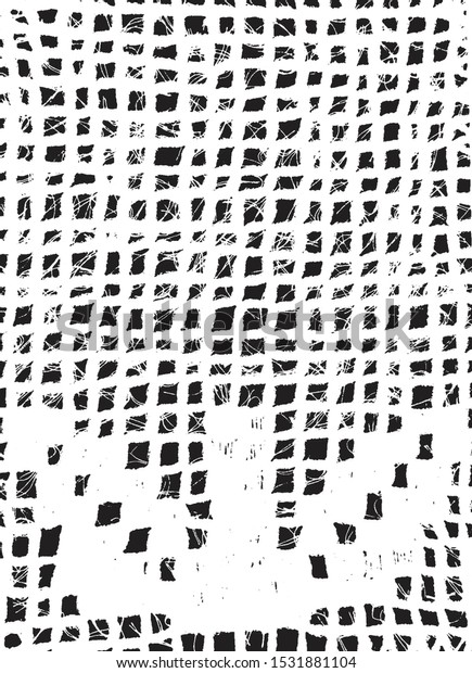 Vector Illustration Black White Mesh Backdrop Stock Vector (Royalty ...