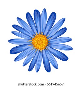 Vector Illustration Blue Aster Stock Vector (Royalty Free) 661945657 ...