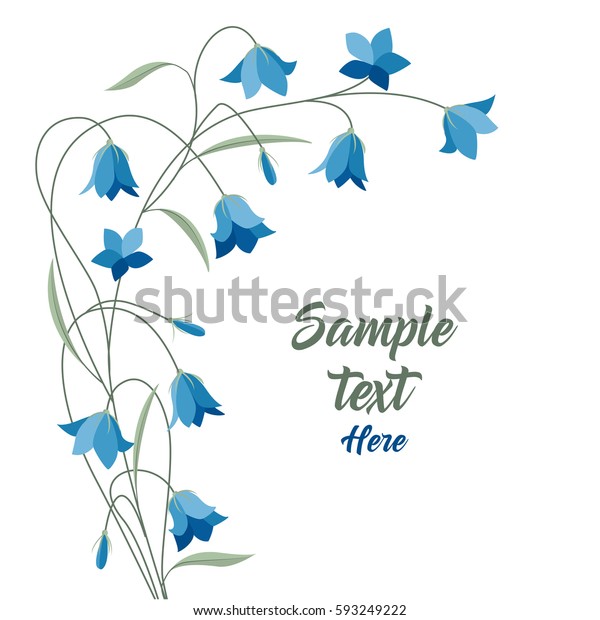 Vector illustration blue bell-shaped bloom, summer flower Campanula