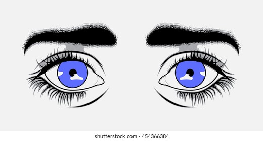 Vector Illustration Blue Eyes Stock Vector (Royalty Free) 454366384 ...