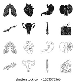 Vector Illustration Body Human Logo Set: เวกเตอร์สต็อก (ปลอดค่า ...