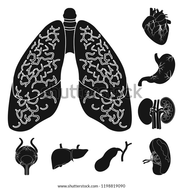 Vector Illustration Body Human Logo Collection Stock Vector (Royalty ...