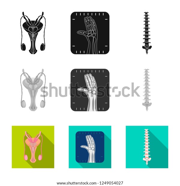 Vector Illustration Body Human Logo Collection Stock Vector (Royalty ...