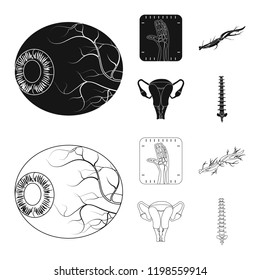 Vector Illustration Body Human Sign Collection Stock Vector (Royalty ...