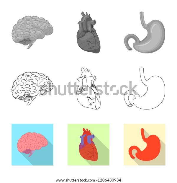 Vector Illustration Body Human Symbol Collection Stock Vector (Royalty ...