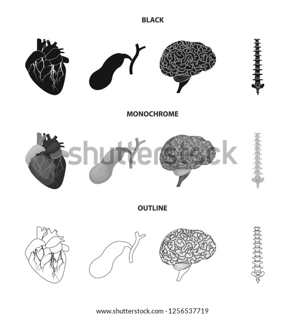 Vector Illustration Body Human Symbol Collection Stock Vector (Royalty ...