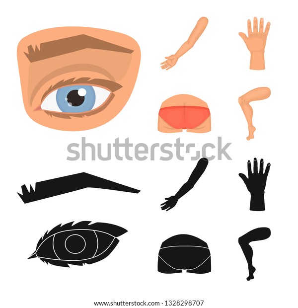 Vector Illustration Body Part Logo Collection Stock Vector (Royalty ...