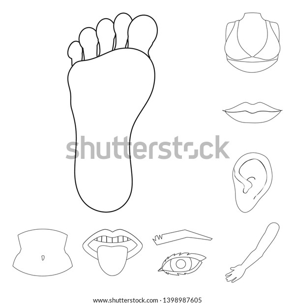 Vector Illustration Body Part Logo Set Stock Vector (Royalty Free ...