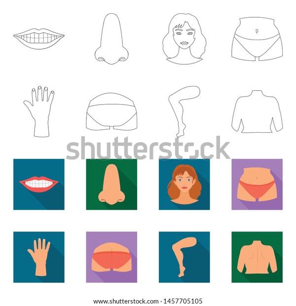 Vector Illustration Body Part Logo Set Stock Vector (Royalty Free ...