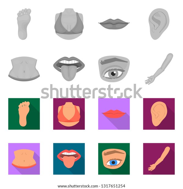 Vector Illustration Body Part Sign Collection Stock Vector (Royalty ...
