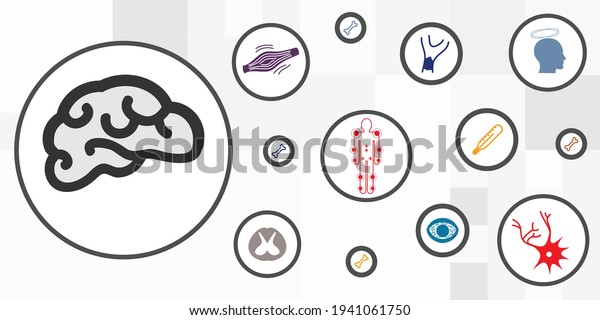 Vector Illustration Brain Diseases Symptoms Neurological Stock Vector ...