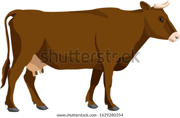 Vector Illustration Brown Cow Moo Stock Vector (Royalty Free ...