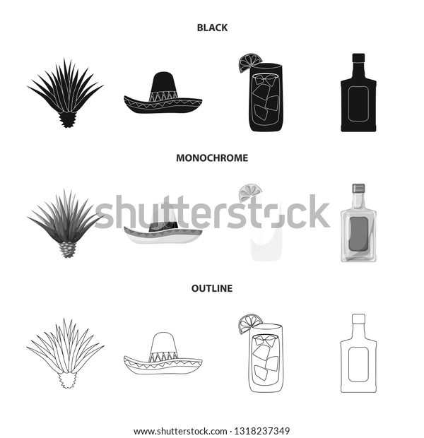 Vector Illustration Cafe Latin Sign Collection Stock Vector (Royalty ...