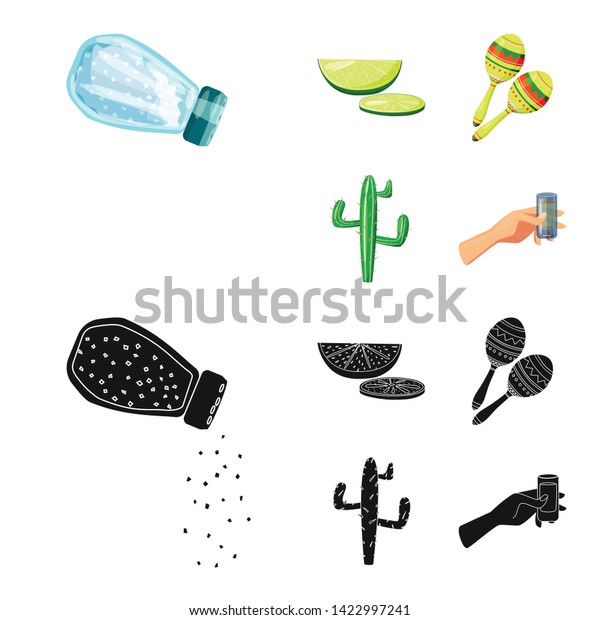 Vector Illustration Cafe Latin Sign Set Stock Vector (Royalty Free ...