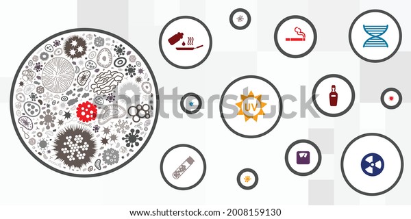 Vector Illustration Cancer Risks Factors Foods Stock Vector (Royalty ...