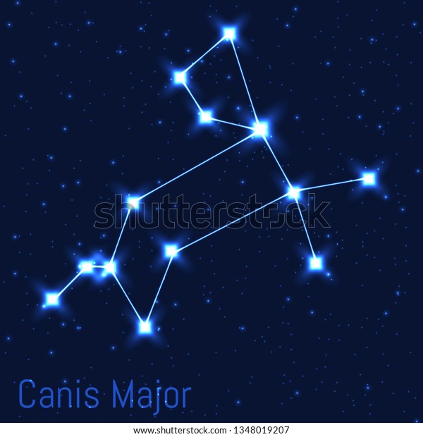 Vector Illustration Canis Major Constellation Astronomical Stock Vector ...