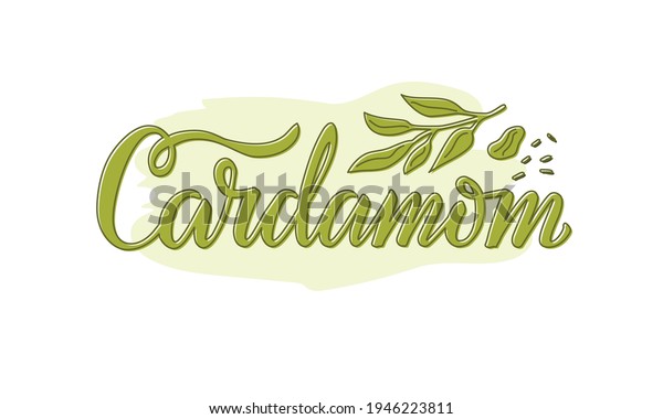 Vector Illustration Cardamom Lettering Packages Product Stock Vector ...