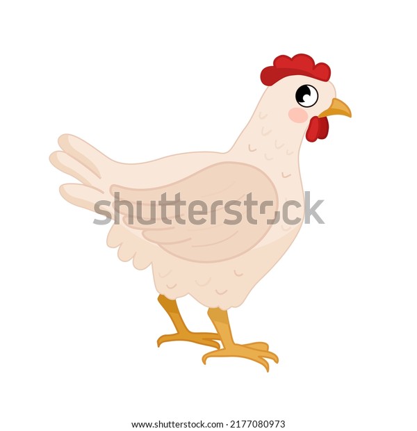 Ilustración vectorial de una linda gallina: vector de stock (libre de ...