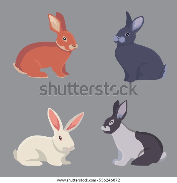 Vector Illustration Cartoon Rabbits Different Breeds Stock Vector ...