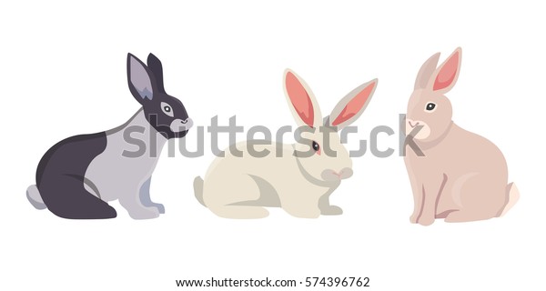 Vector Illustration Cartoon Rabbits Different Breeds Stock Vector ...