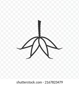 Vector Illustration Cassava Icon Dark Color Stock Vector (Royalty Free ...