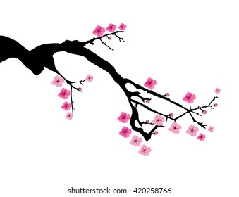Vector Illustration Cherry Blossom Branch Stock Vector (Royalty Free ...