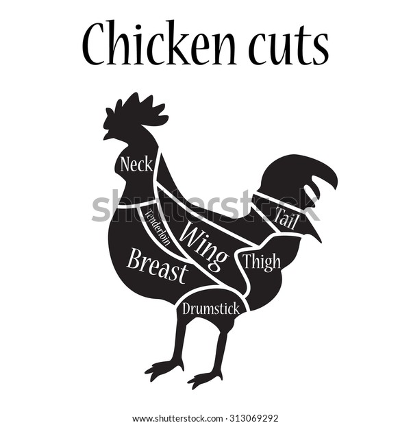 Vector Illustration Chicken Cuts Diagram Chart Stock Vector (Royalty ...