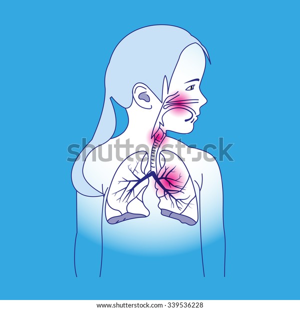 Vector Illustration Child Respiratory System Organs Stock Vector ...