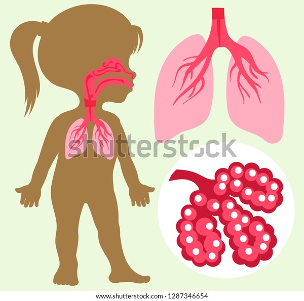 Vector illustration for children. Flat cartoon style. Image of the ...