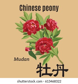 12 Mudan Stock Illustrations, Images & Vectors | Shutterstock