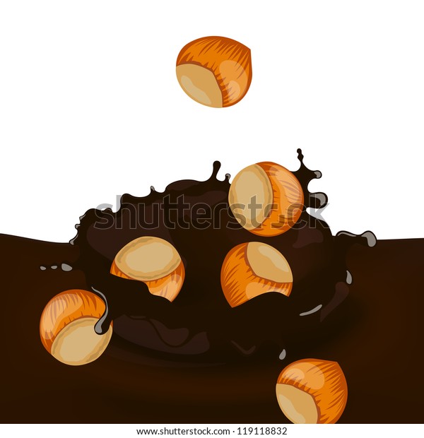 Vector Illustration Chocolate Splash Hazelnuts Stock Vector (Royalty ...