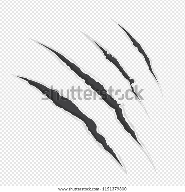 Vector Illustration Claw Scrathes Four Vertical: vetor stock (livre de ...