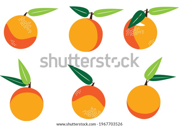 Vector Illustration Clementines Bold Graphic Style Stock Vector ...
