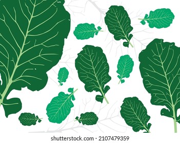 Vector Illustration Collard Greens Background Seamless Stock Vector ...