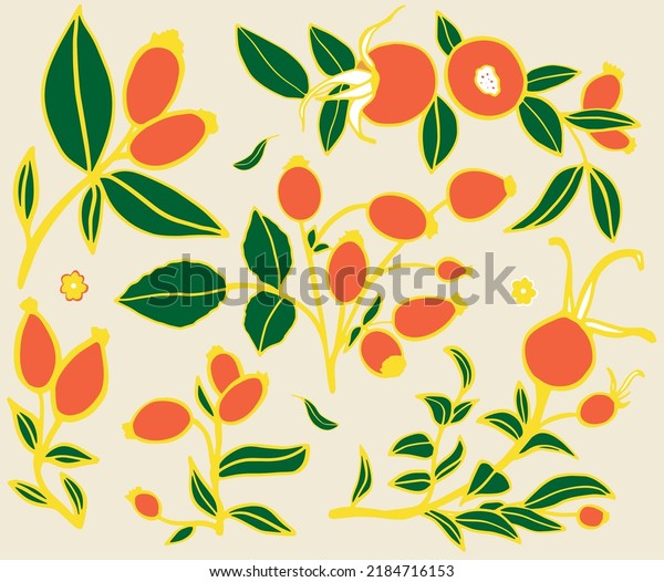 Vector Illustration Collection Wild Rose Sketch Stock Vector (Royalty ...