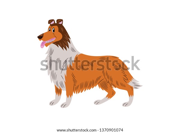 2,408 Orange Collie Images, Stock Photos & Vectors | Shutterstock