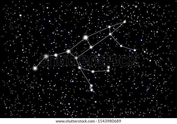 Vector Illustration Constellation Great Bear On Stock Vector (Royalty ...