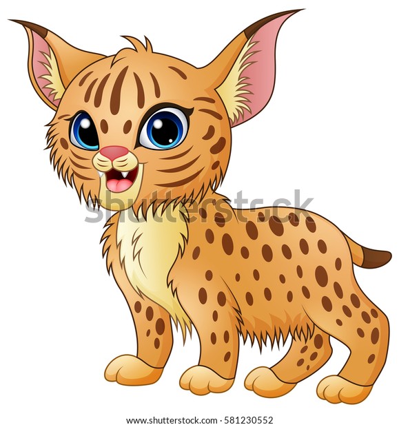 Vector Illustration Cute Cartoon Bobcat Stock Vector (Royalty Free ...