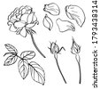 Rose Outline Royalty-Free Images, Stock Photos & Pictures | Shutterstock