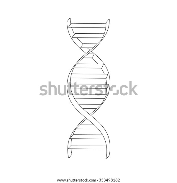 Vector Illustration Dna Spiral Outline Drawing Stock Vector (Royalty ...