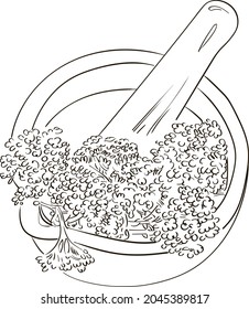 335 Yarrow line drawing Images, Stock Photos & Vectors | Shutterstock