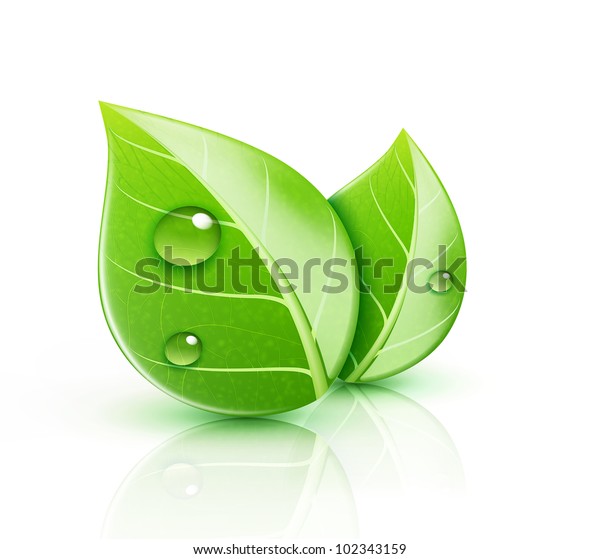 1,058,254 Single Green Leaf Images, Stock Photos & Vectors | Shutterstock