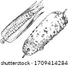 Elote: Más de 287 ilustraciones y dibujos de stock con licencia libres ...