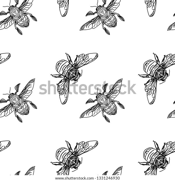 Vector Illustration Engraving Highly Detailed Handdrawn Stock Vector ...